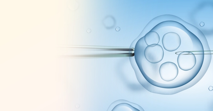 CAPA 미성숙 난자 체외 배양 클리닉 | 일산차병원